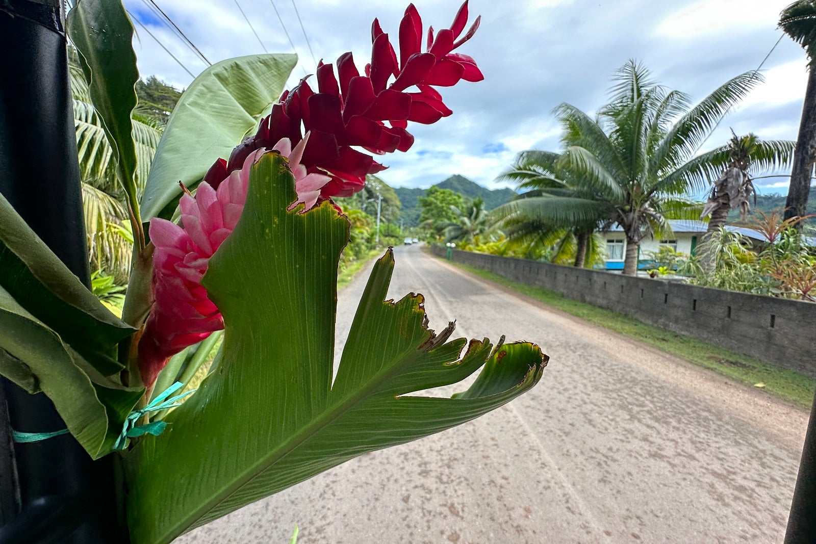 This cruise line will double capacity in French Polynesia - The Points Guy