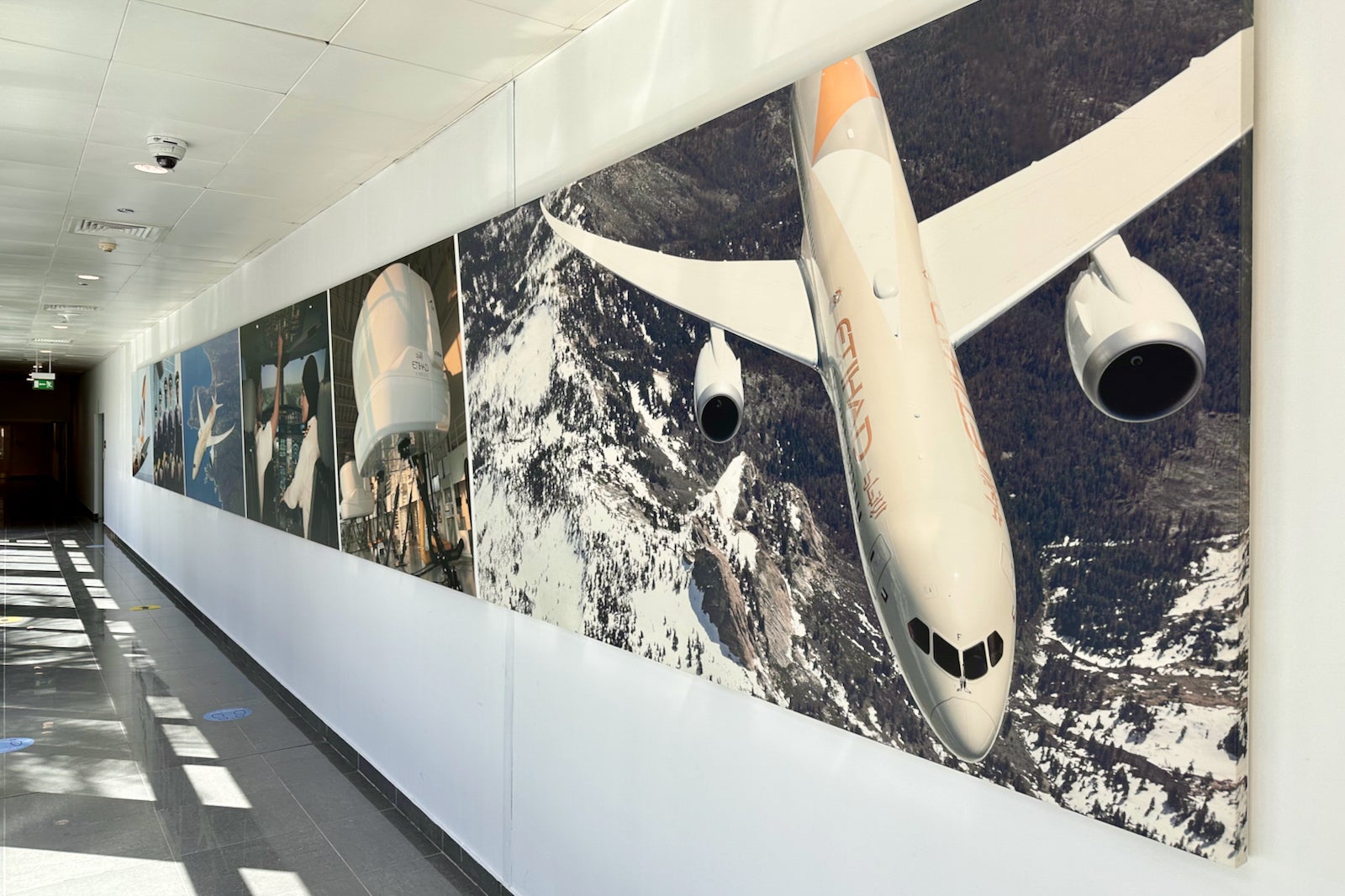 What it takes to become an Etihad flight attendant - The Points Guy