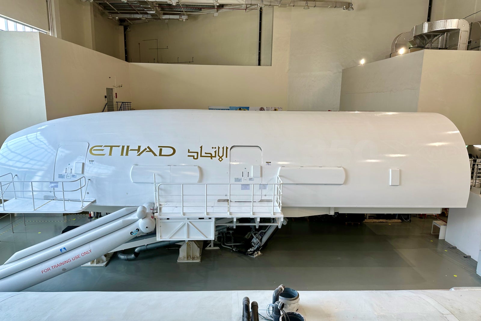 What it takes to become an Etihad flight attendant - The Points Guy