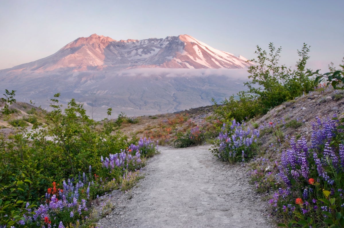 Amtrak restores Cascades train service to Vancouver - The Points Guy