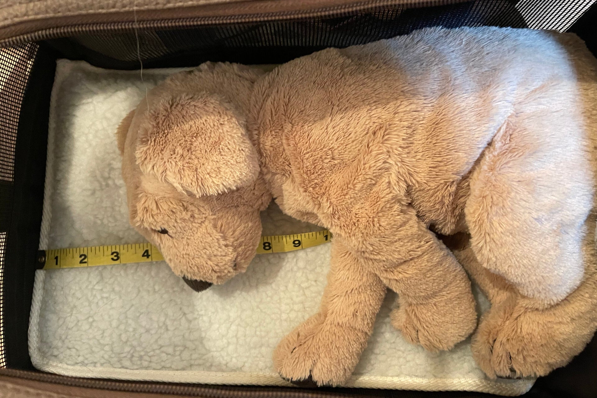 Puppy tested: Two paws up for the Sherpa Original Deluxe pet carrier ...