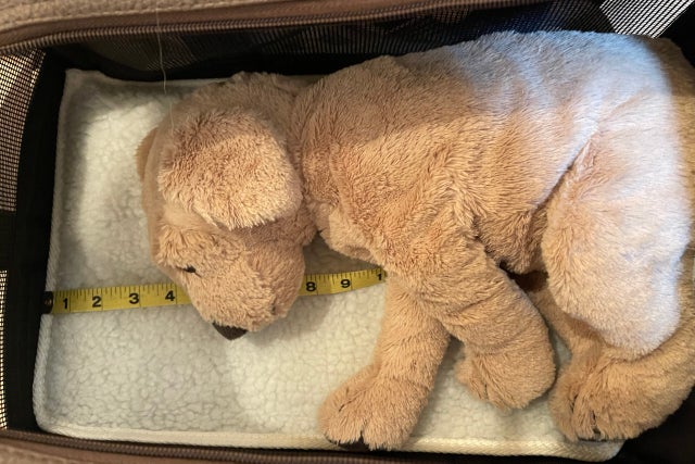 Puppy tested: Two paws up for the Sherpa Original Deluxe pet carrier ...