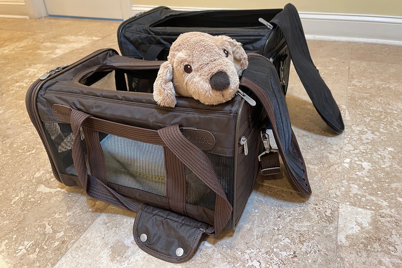 Puppy tested: Two paws up for the Sherpa Original Deluxe pet carrier ...
