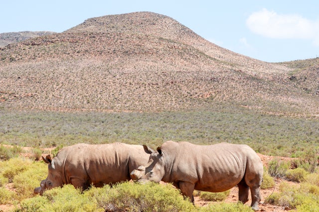 How PeaceJam saves lives: A look at this year’s South Africa conference ...