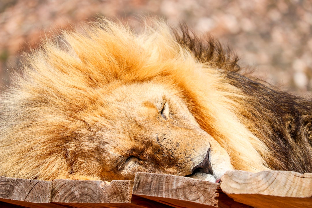 How PeaceJam saves lives: A look at this year’s South Africa conference ...