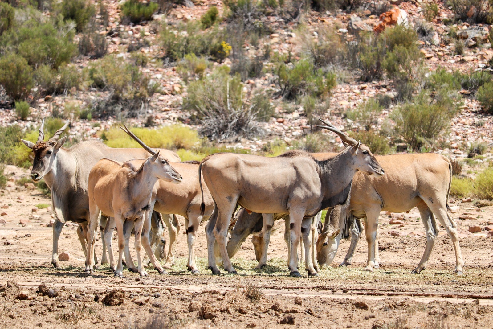 How PeaceJam saves lives: A look at this year’s South Africa conference ...