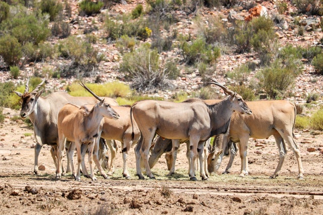 How PeaceJam saves lives: A look at this year’s South Africa conference ...