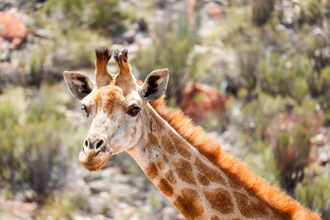 How PeaceJam saves lives: A look at this year’s South Africa conference ...