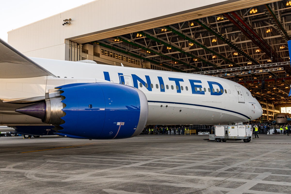 United adding 110 more long-haul jets, doubling down on bold ...