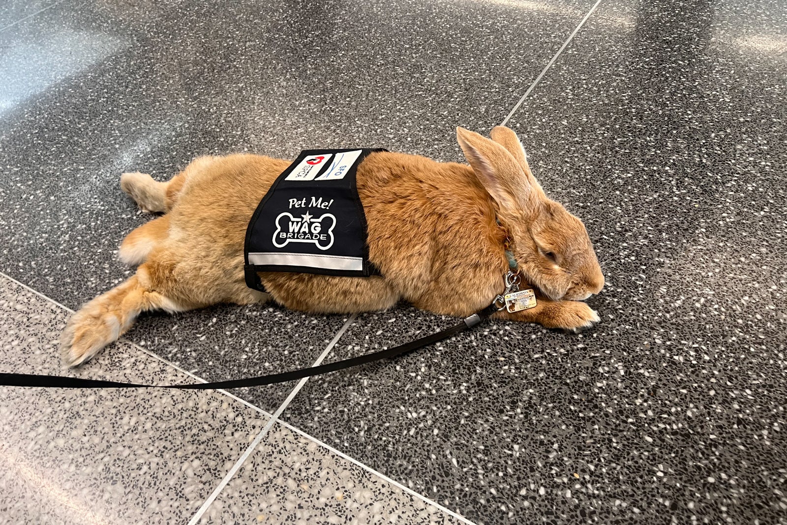 Best new airport amenities of the past year - The Points Guy