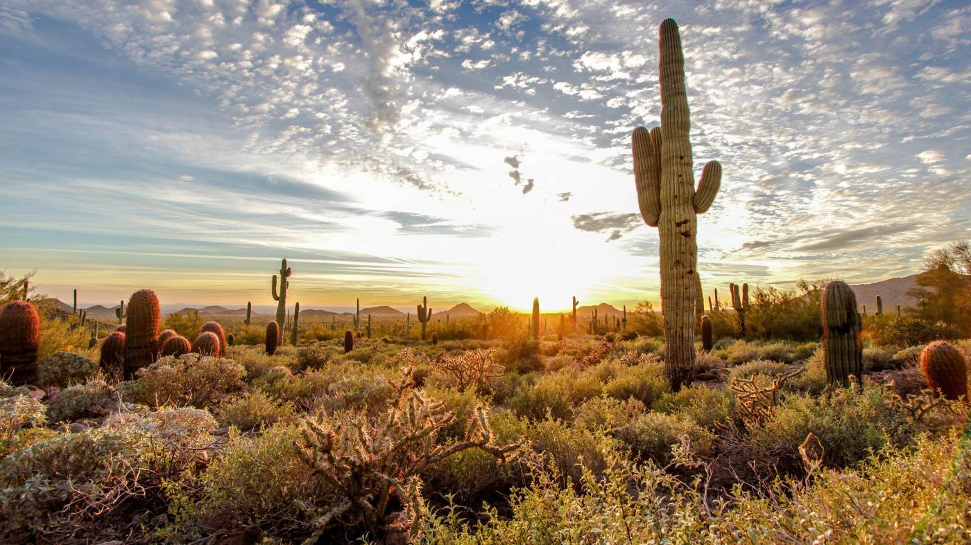 Travel for all: 12 autism-friendly vacation destinations - The Points Guy