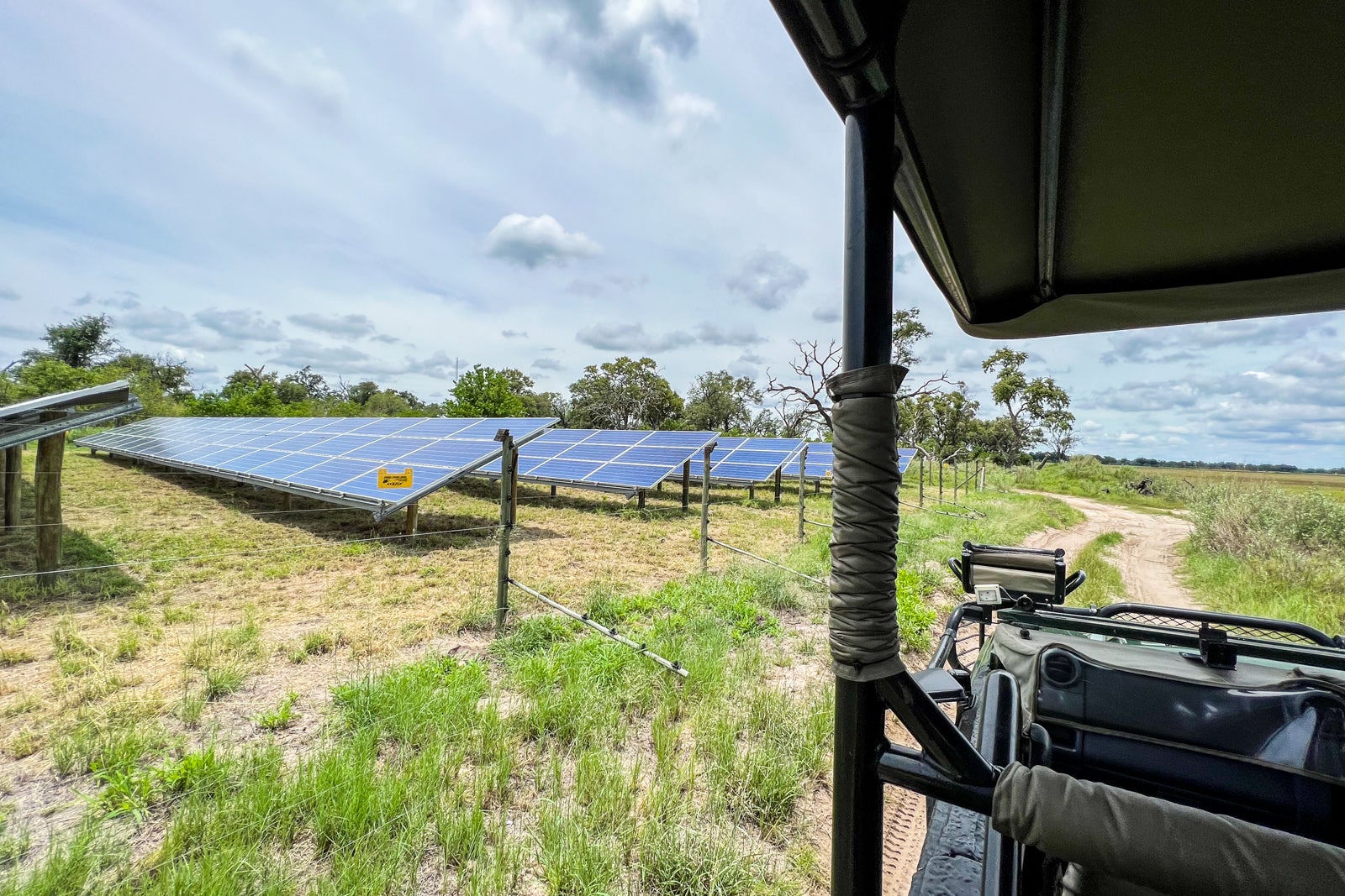 How To Choose A Sustainable African Safari The Points Guy