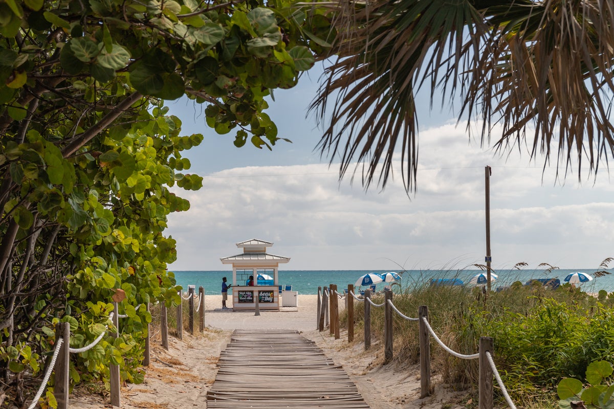 14 best Miami Beach hotels in 2024 - The Points Guy