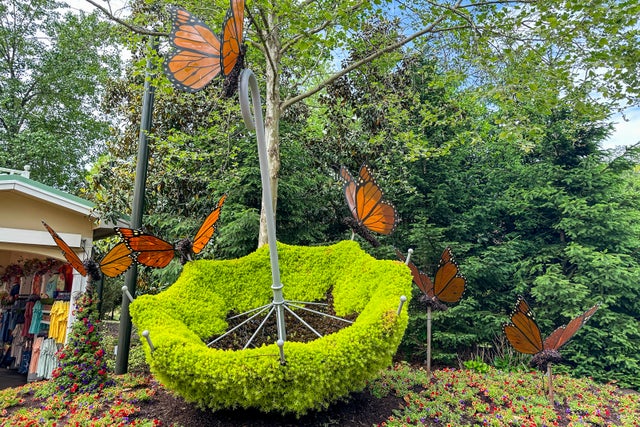 Dollywood: Everything you need to know about the food, fun and family ...