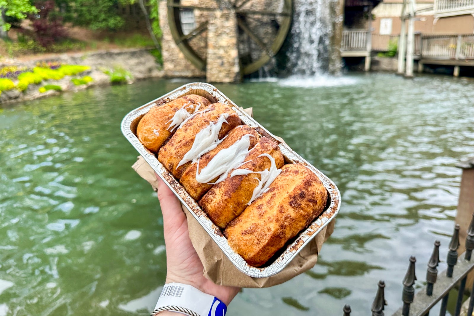 Dollywood: Everything you need to know about the food, fun and family ...