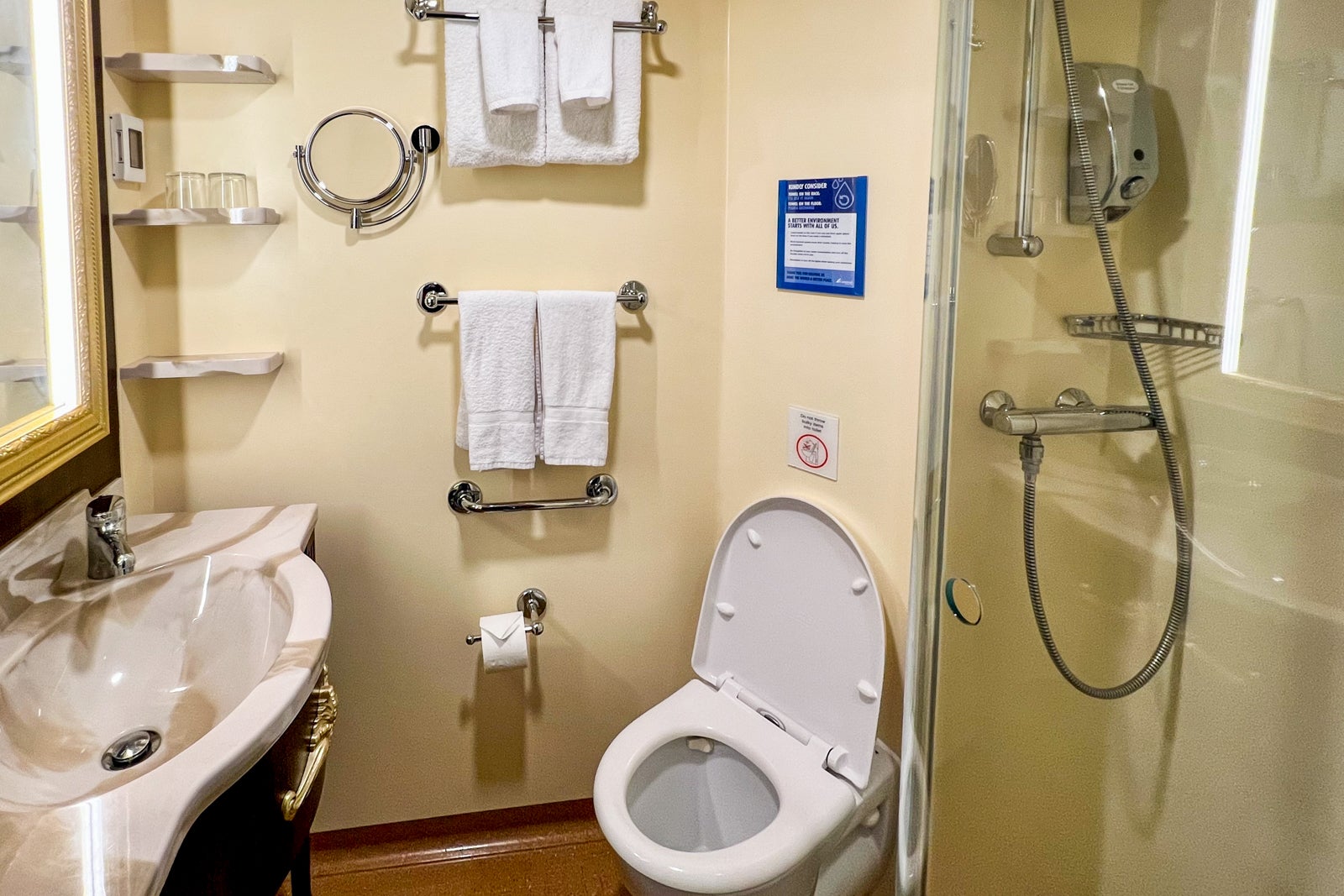 Carnival Cruise Bathroom