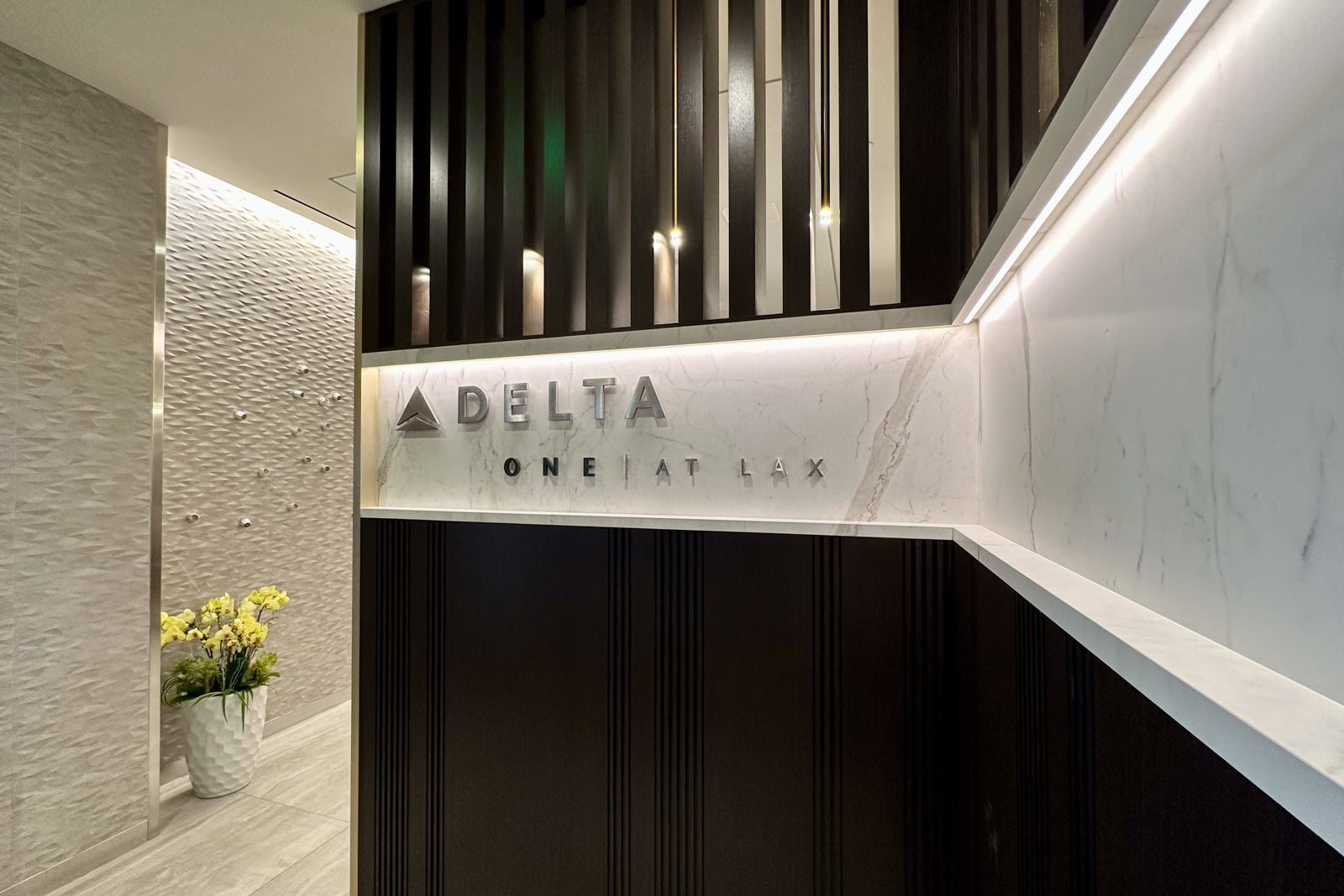 Delta debuts gorgeous premium check-in lounge, Sky Way upgrades in Los ...