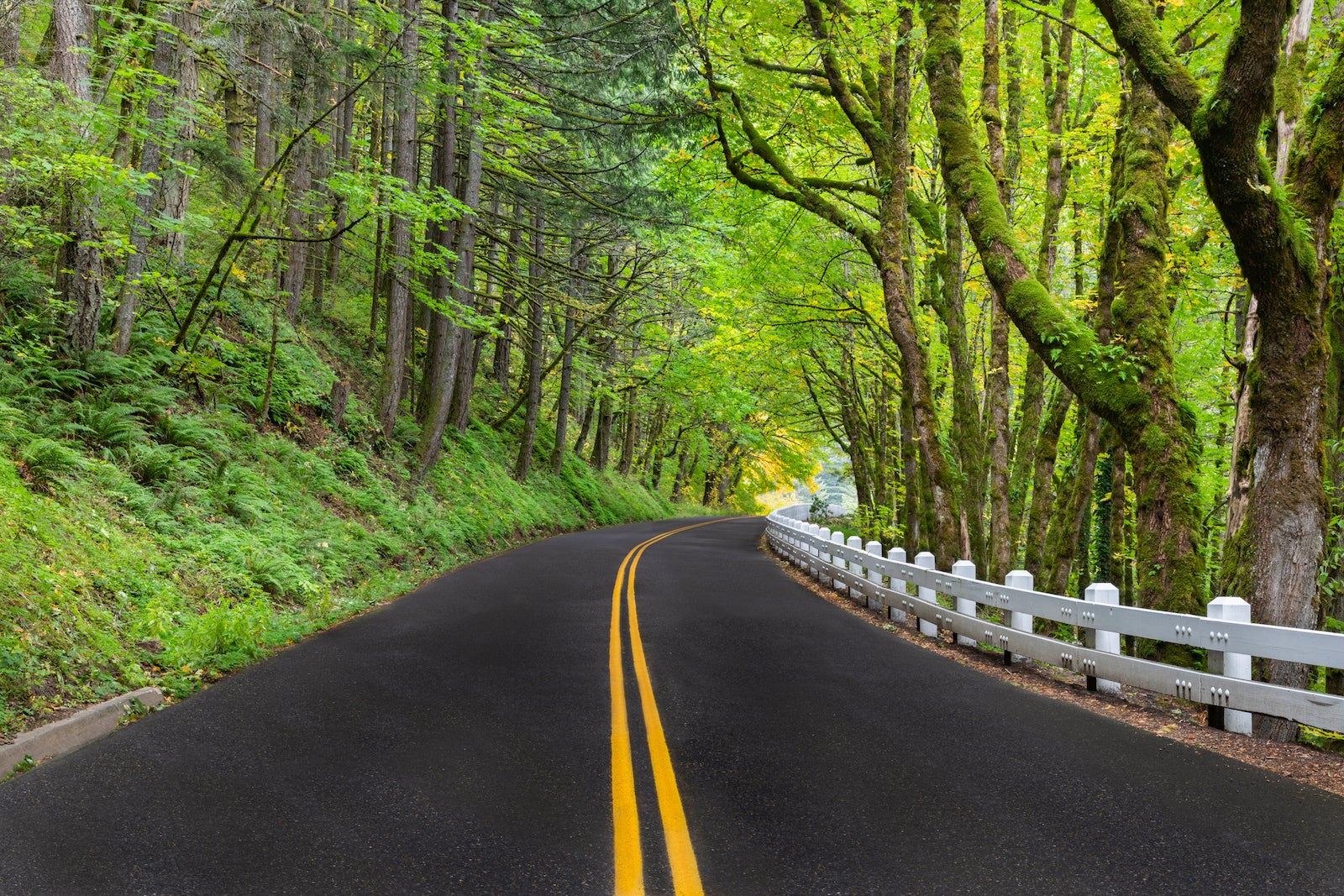 Best Road Trips In The US The Points Guy Best Road Trips In The US The Points Guy