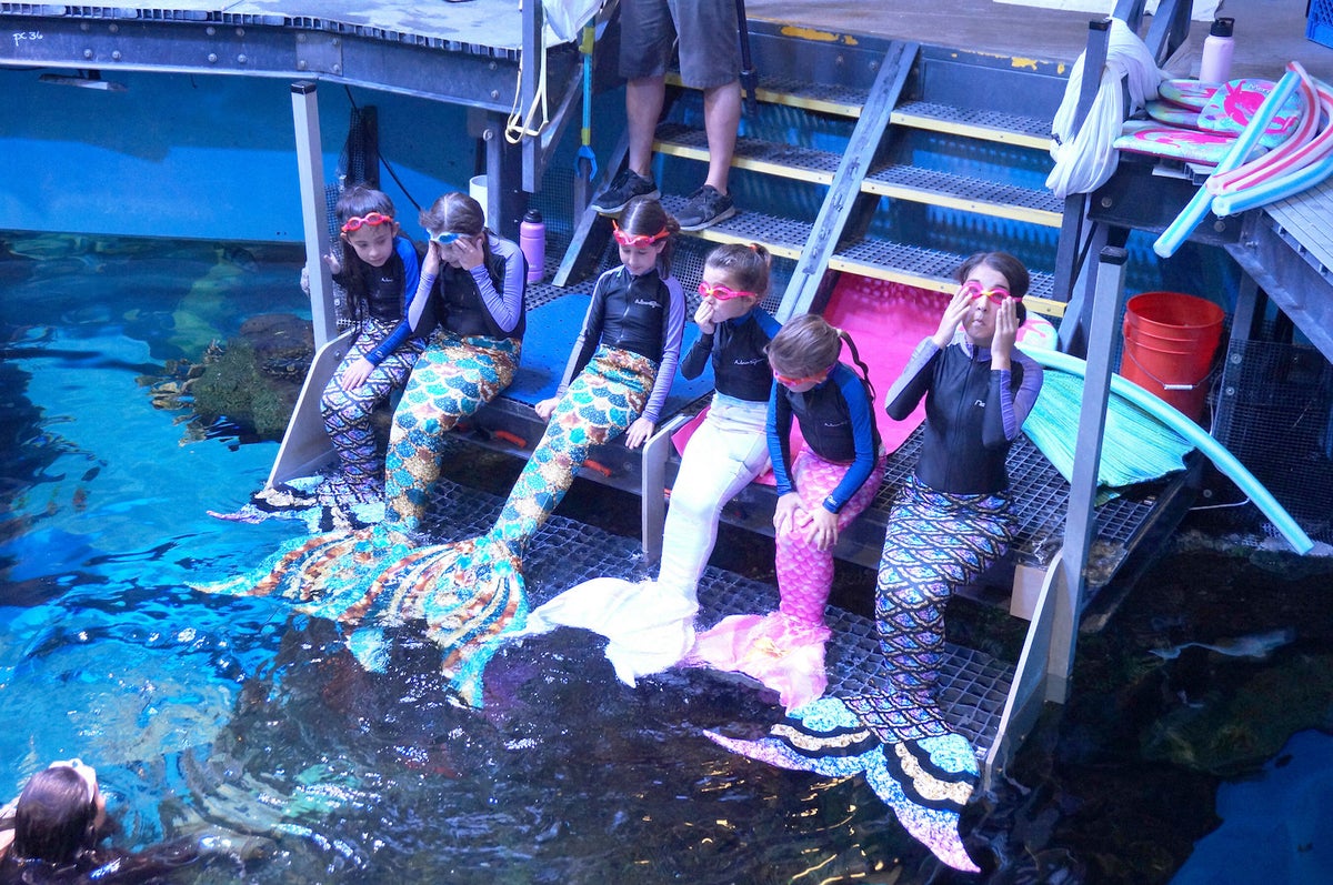 Spots where you can learn how to swim just like 'The Little Mermaid ...