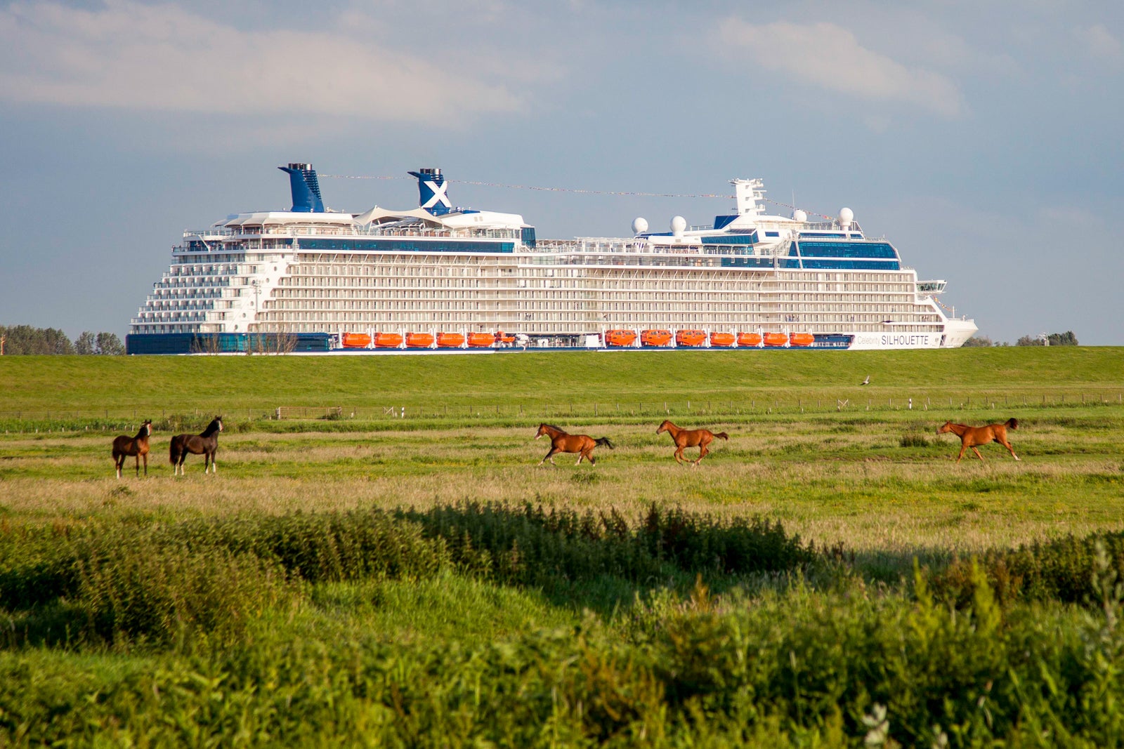 Celebrity Cruises ships from newest to oldest — a complete list - The Points Guy