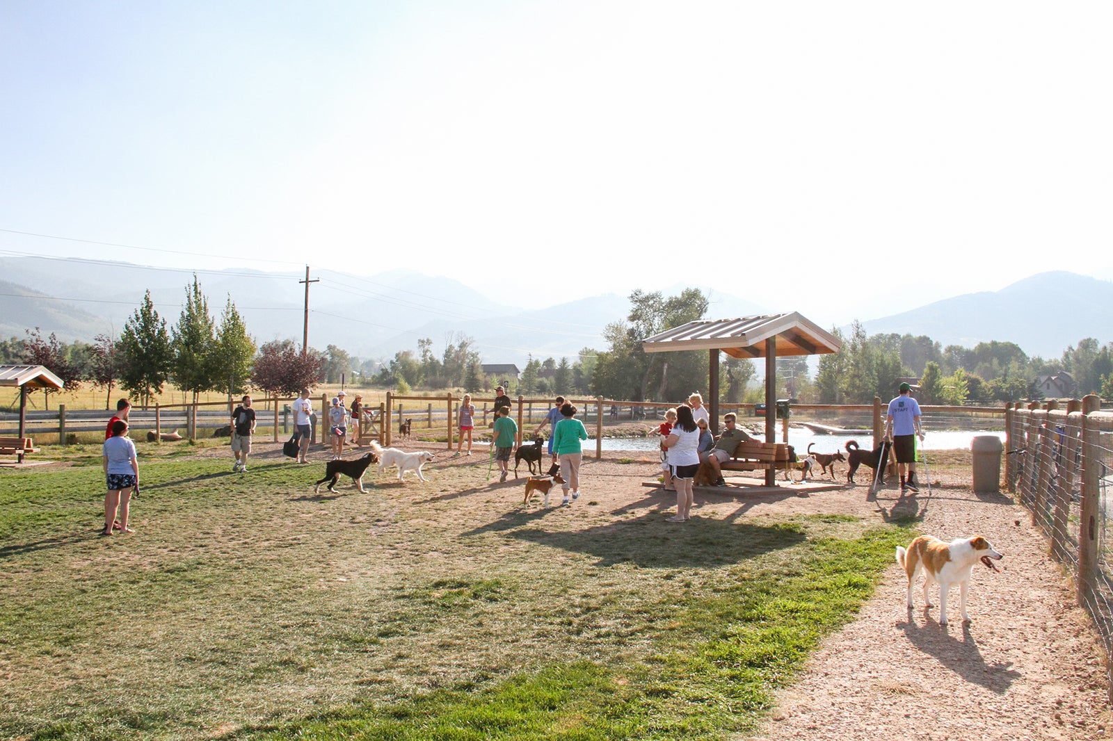 The 10 best dog-friendly destinations - The Points Guy