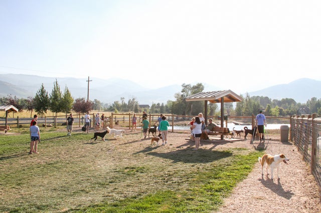 The 10 best dog-friendly destinations - The Points Guy