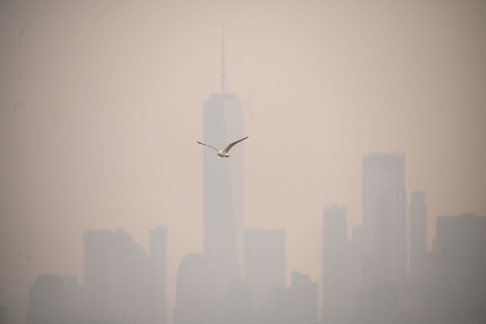 Flight delays climb as Canadian wildfire smog chokes Northeast - The ...