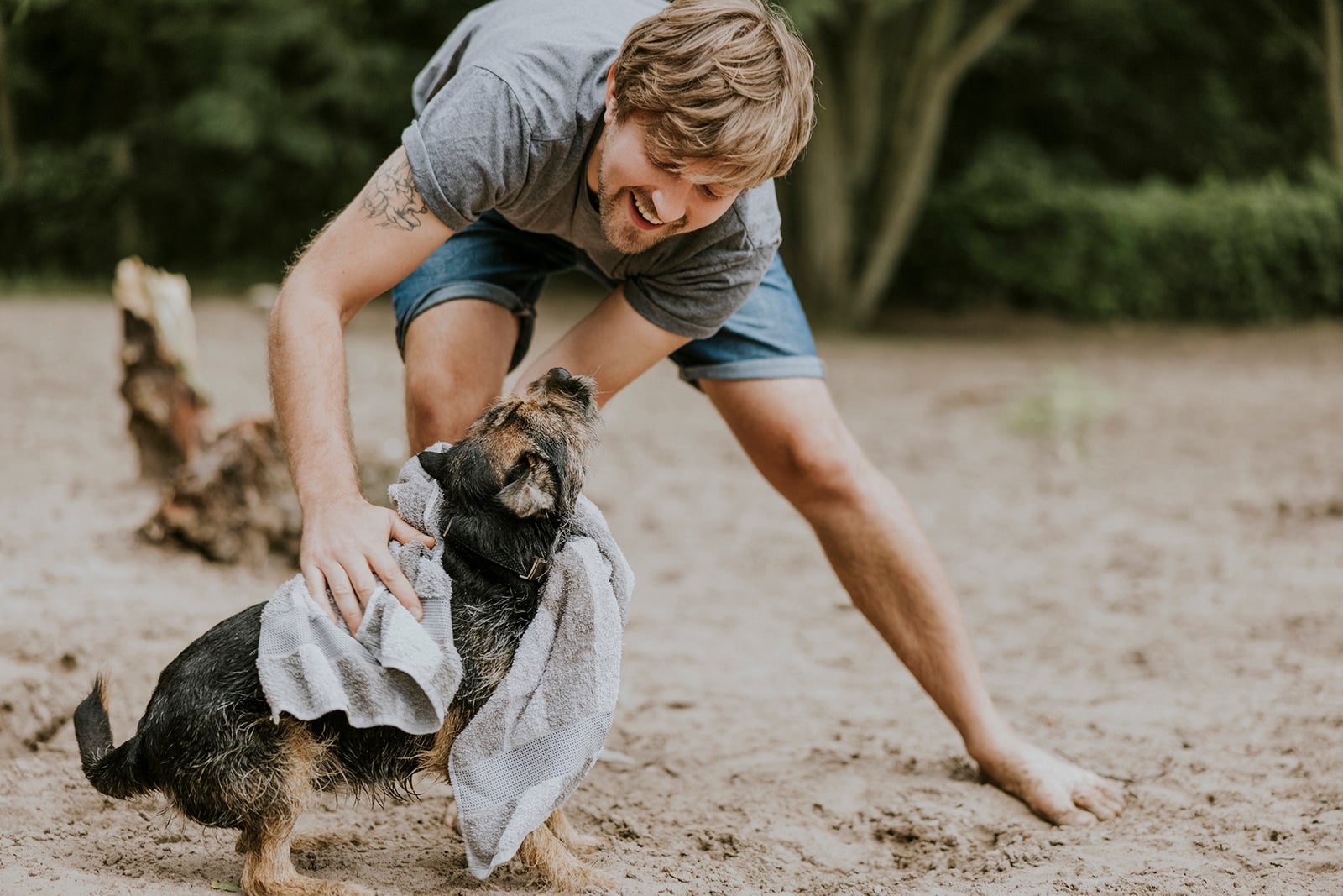 The ultimate dog-friendly summer road trip guide - The Points Guy