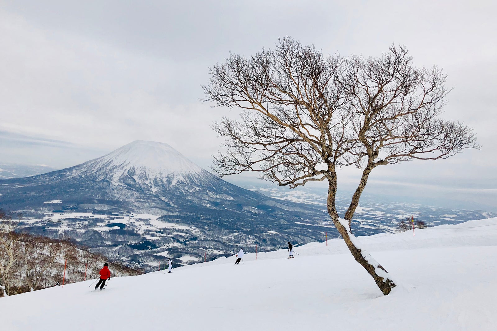 The best times to visit Japan - The Points Guy