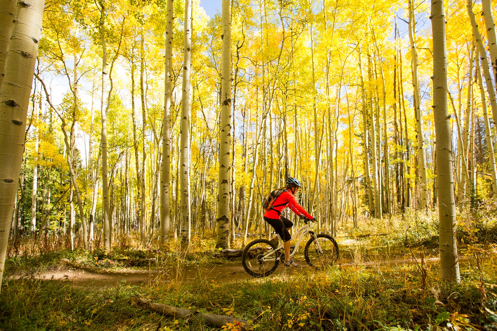 Fall is actually one of the best seasons to book a flight - The Points Guy