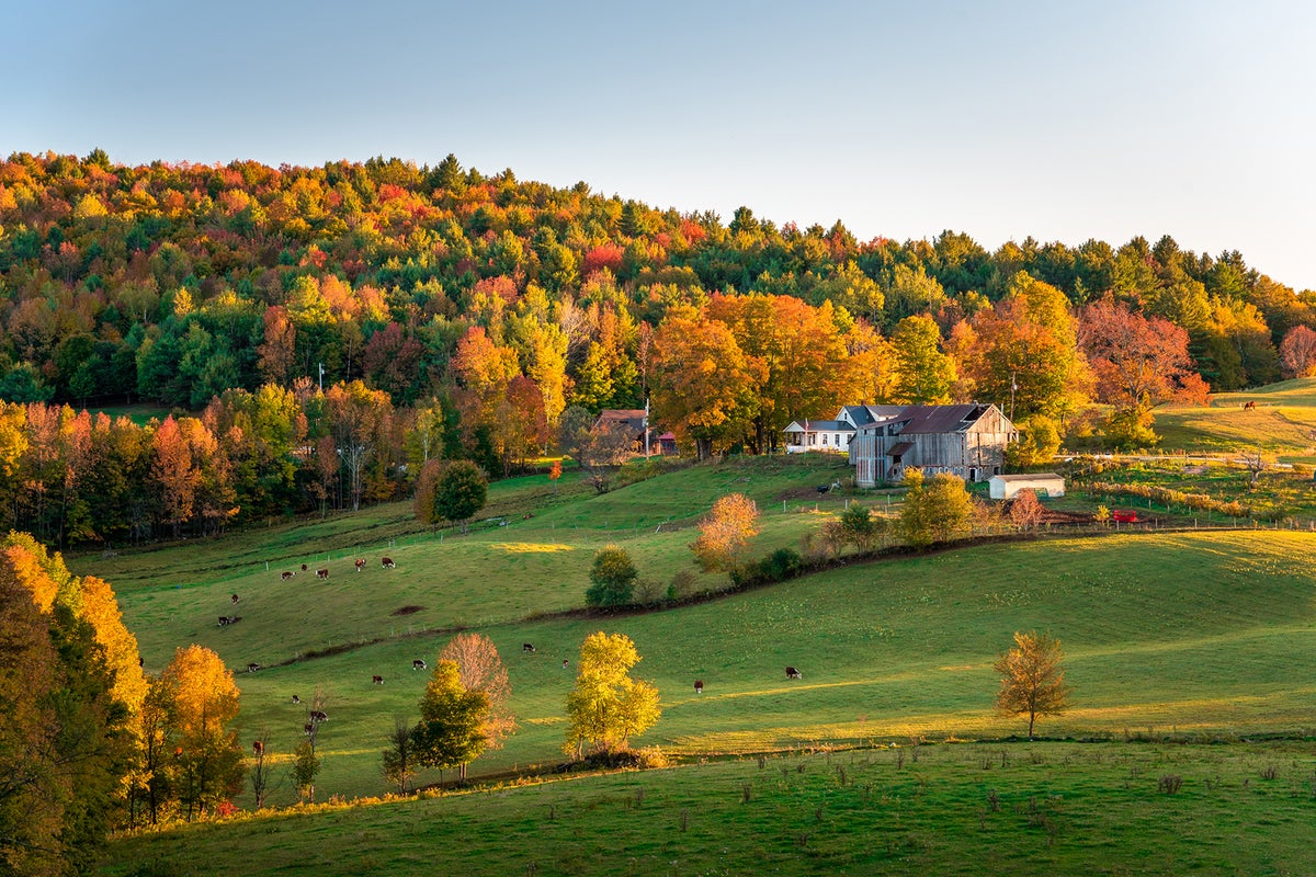Where to see the best foliage in New England this fall - The Points Guy