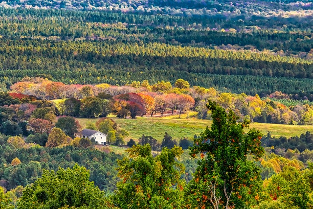 Here's where you can see fall foliage across the US in 2024 - VoyageAround