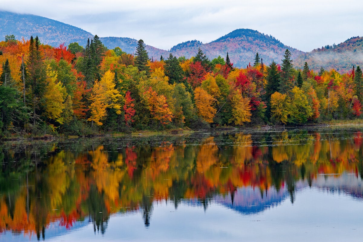 Here's where you can see fall foliage across the US in 2024 - The ...