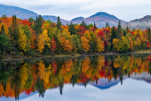 Here's where you can see fall foliage across the US in 2024 - The ...