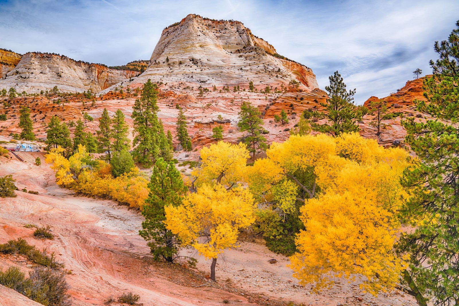Here's where you can see fall foliage across the US in 2024 - The ...