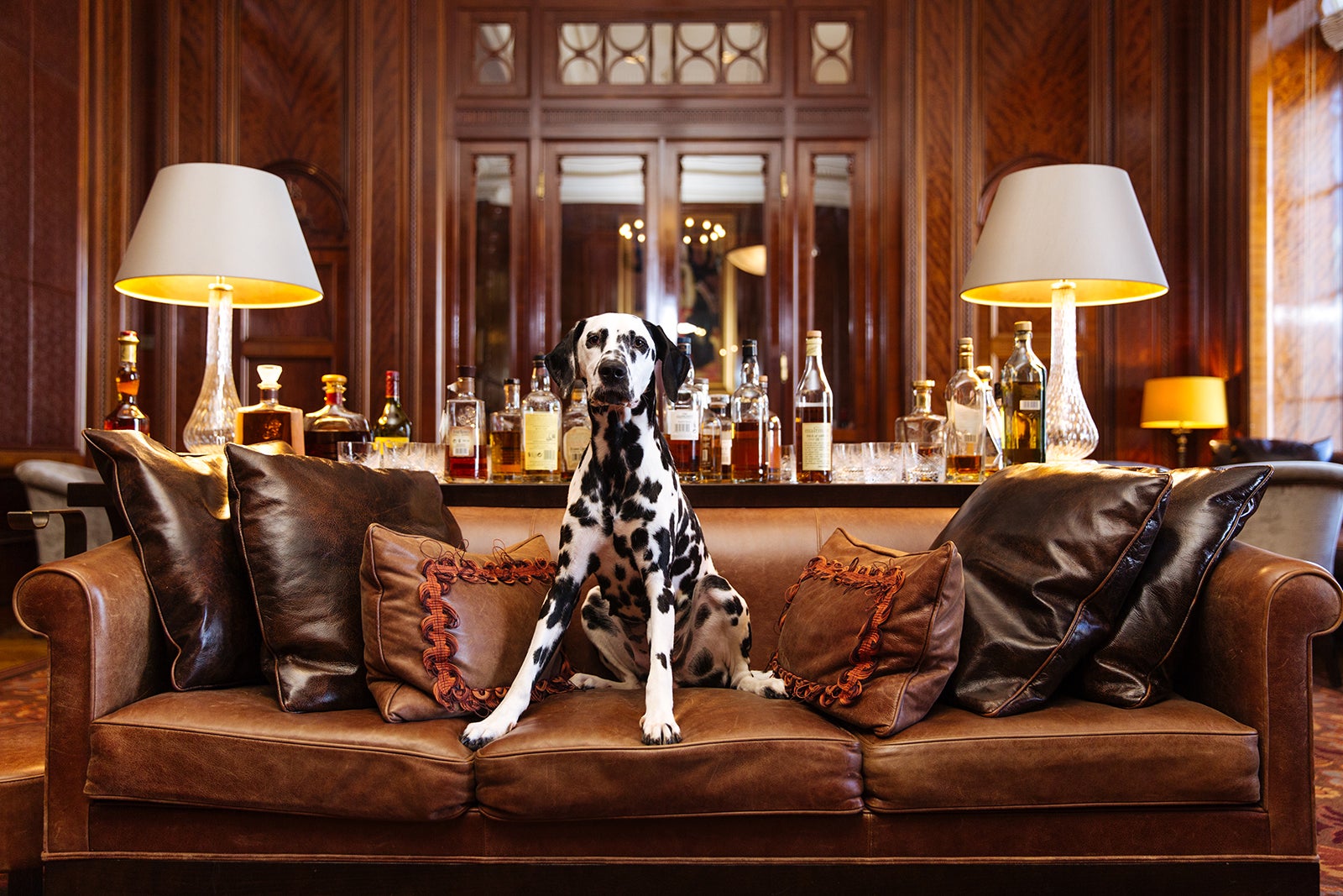 Headed to Vienna? Here are Hyatt's 5 best hotels for your stay - The ...