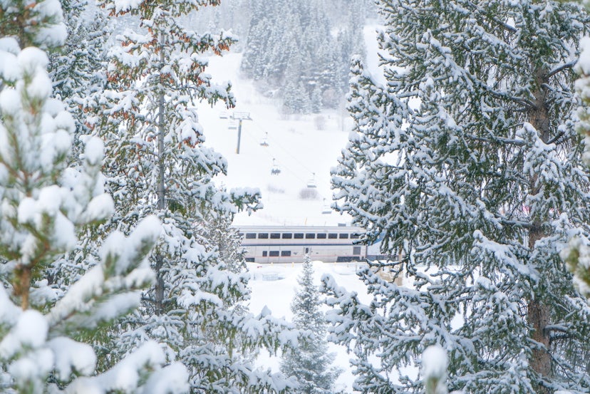 Colorado's ski train is back — and tickets start at $19 one-way - The ...
