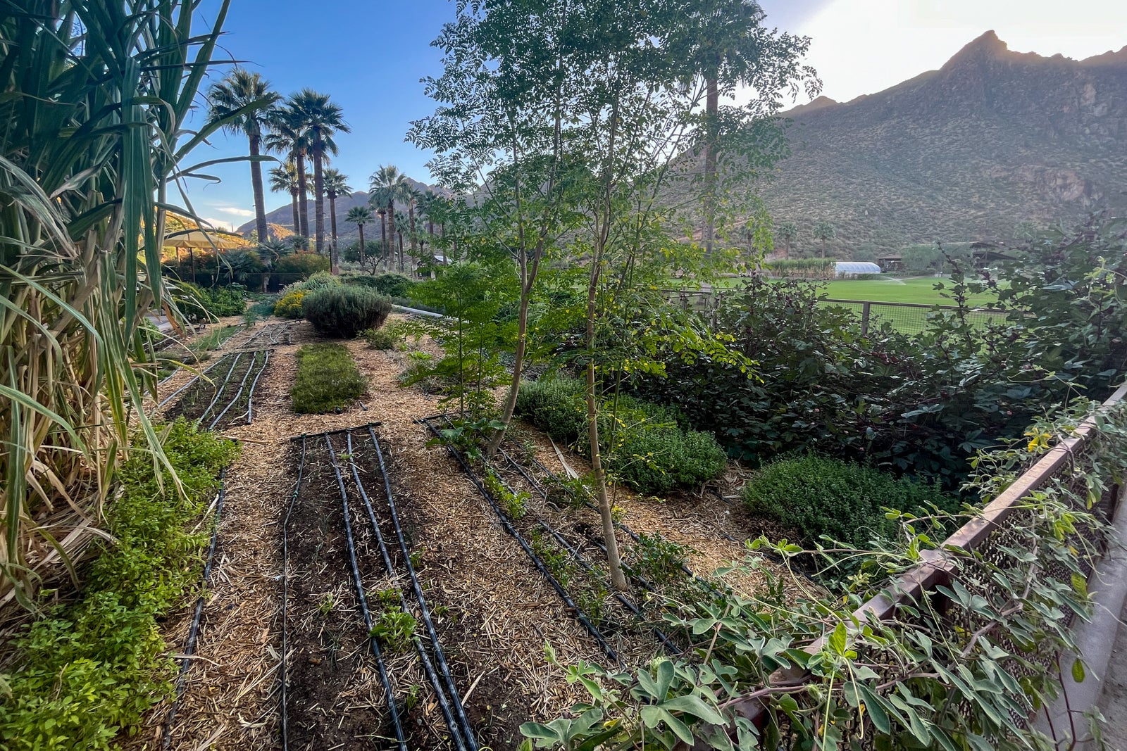 Castle Hot Springs review: What it’s like staying at one of the most ...