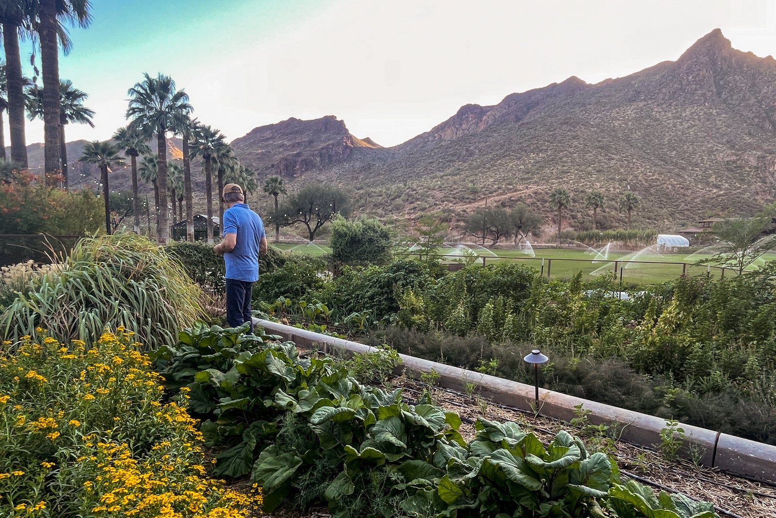 Castle Hot Springs review: What it’s like staying at one of the most ...