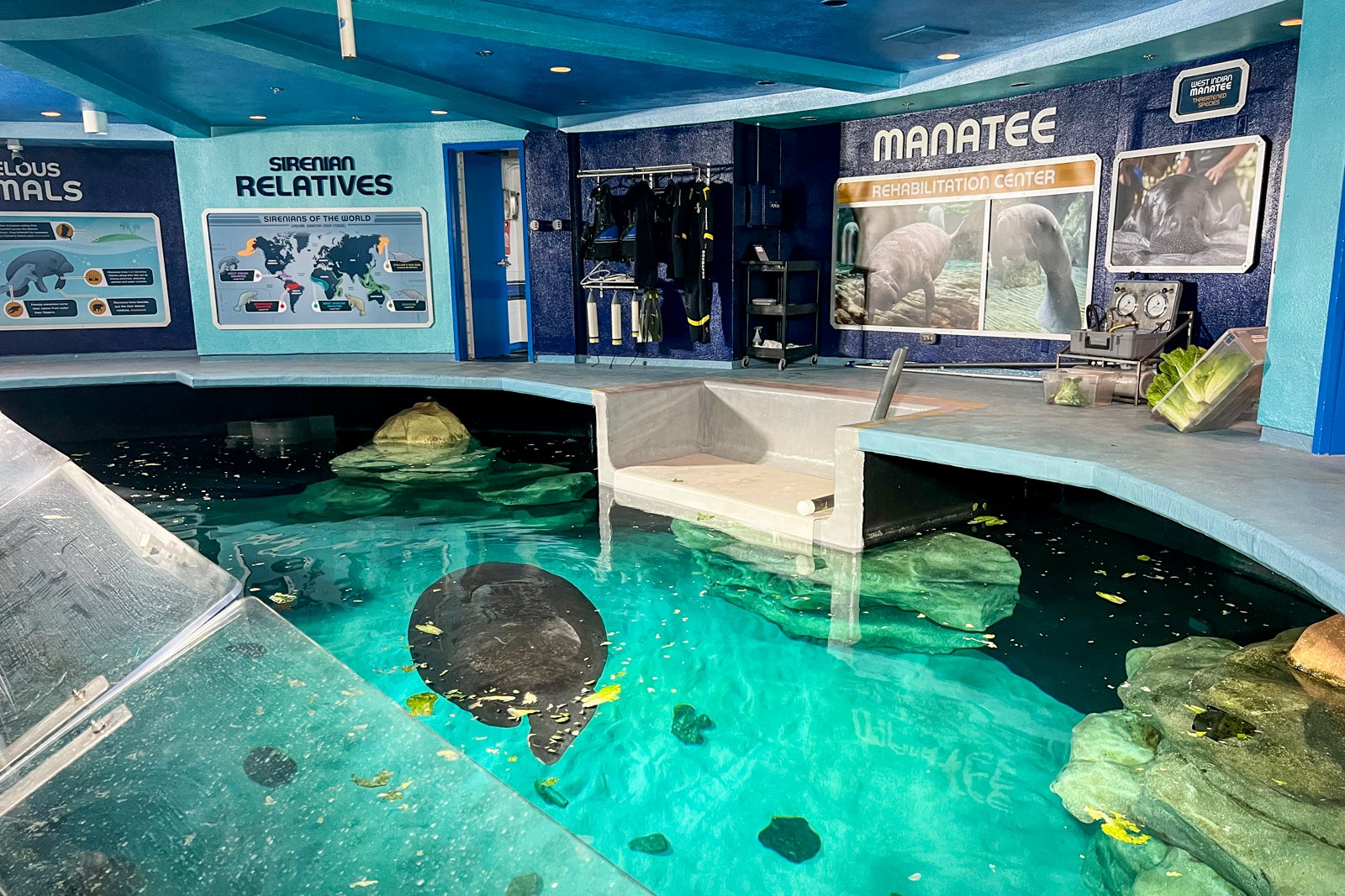 21 of the most underrated things to do at Disney World - The Points Guy