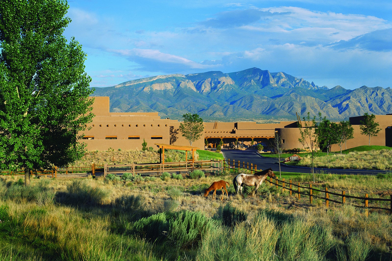 Native American-owned hotels to support when planning your next ...