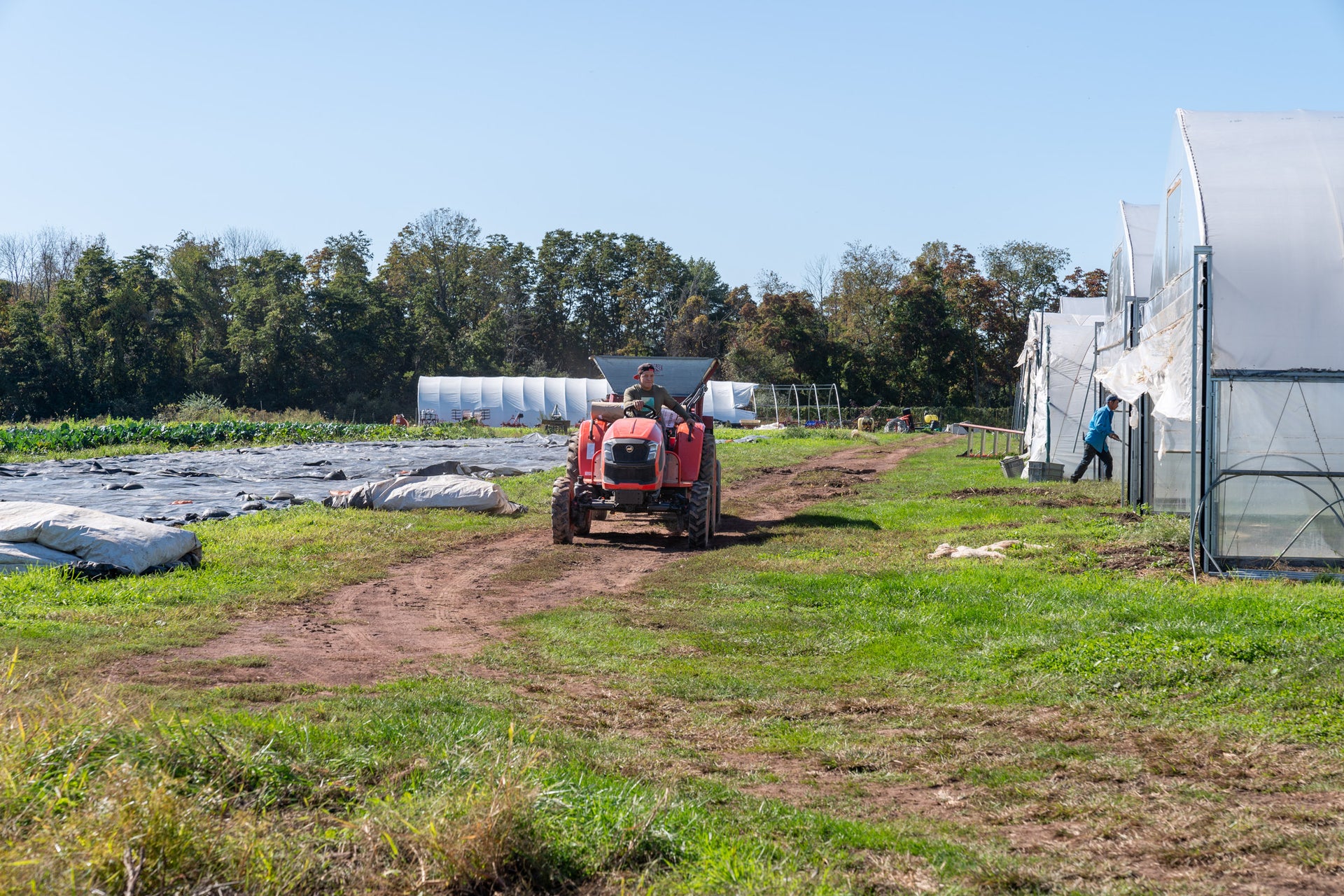 Fine dining at the airport: An interview with OTG's CEO - The Points Guy