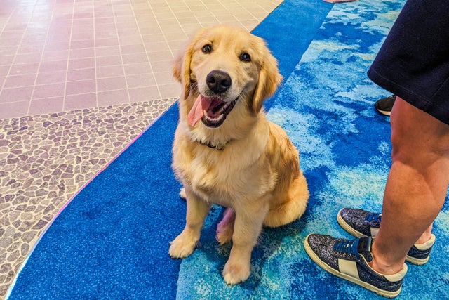 Icon of the Seas preview: Photos of Royal Caribbean's newest ship - The ...