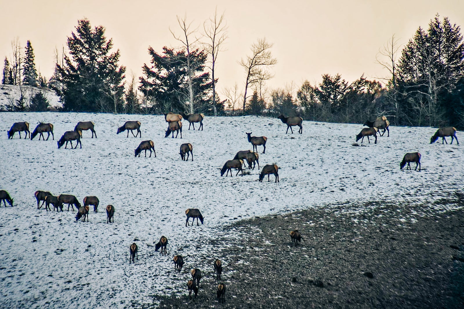 Family-friendly things to do in Jackson Hole in winter - The Points Guy