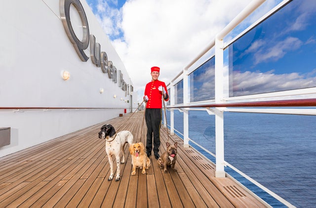 Types of cruises you need to try at least once in your life - The ...