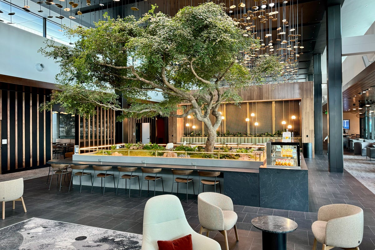 First look: Amex's stunning new Centurion Lounge in Atlanta - The ...