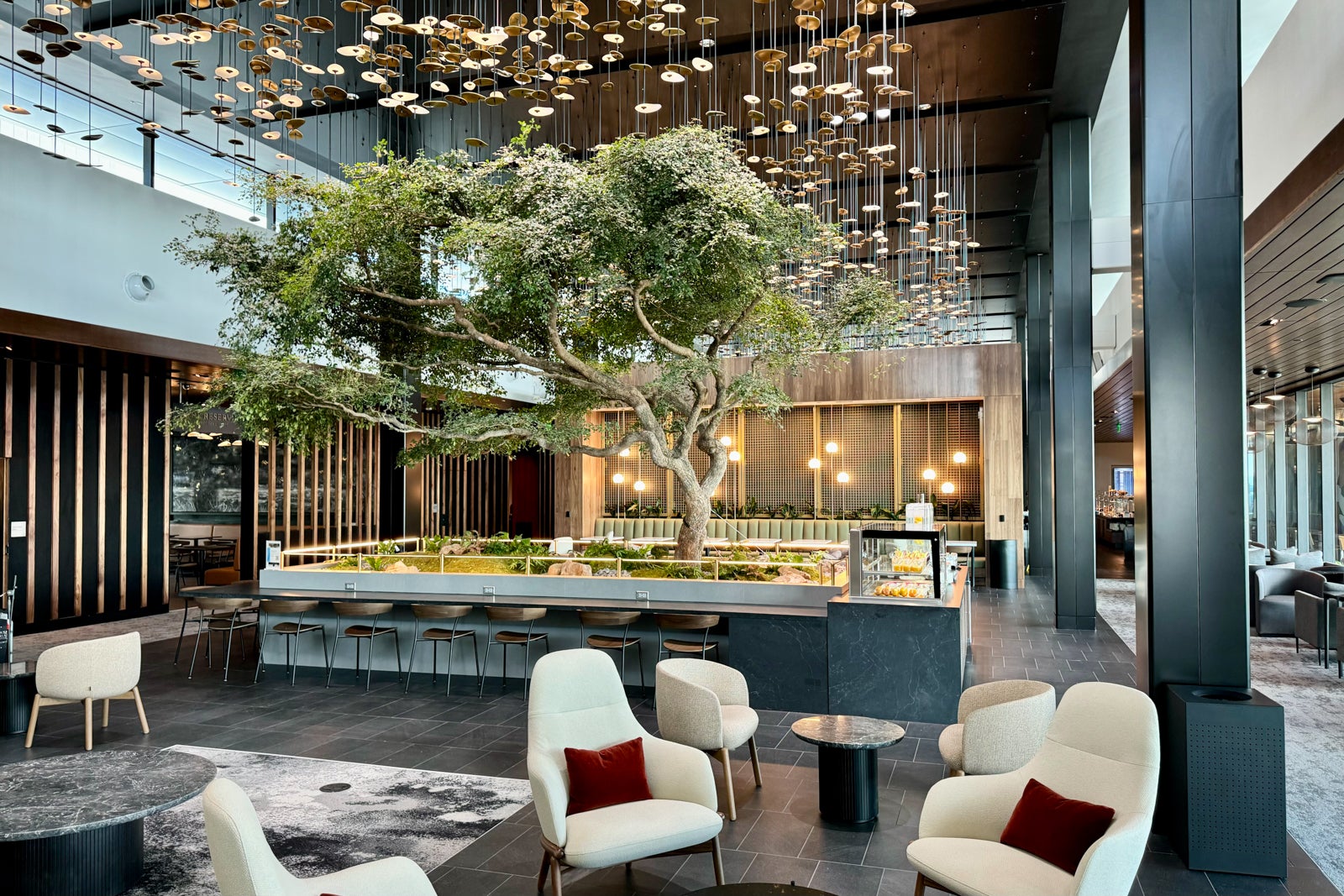 First look: Amex's stunning new Centurion Lounge in Atlanta - The ...