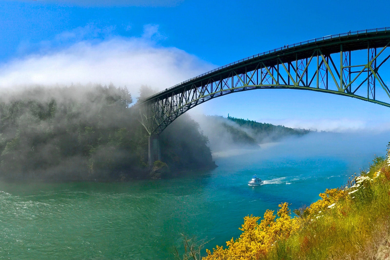 Pacific Northwest road trip: The San Juan Islands and Olympic Peninsula ...