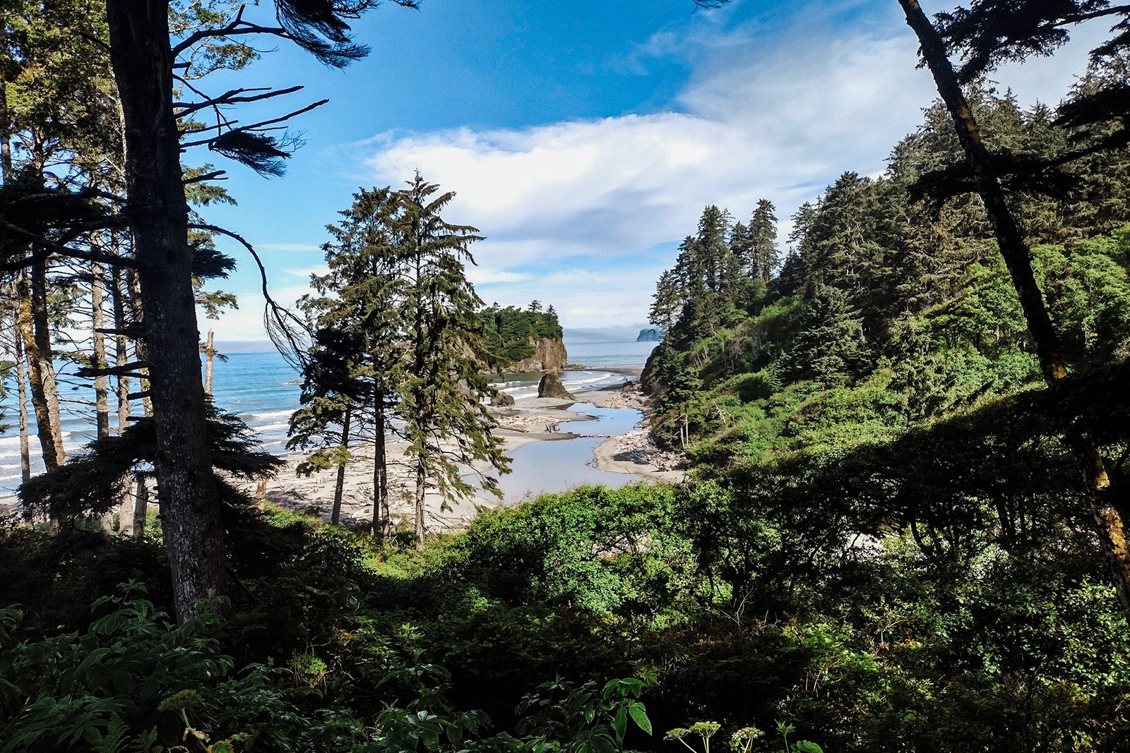 Pacific Northwest road trip: The San Juan Islands and Olympic Peninsula ...