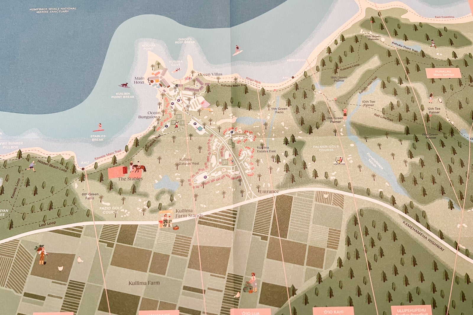 Review of Turtle Bay Resort, Oahu's North Shore gem - The Points Guy